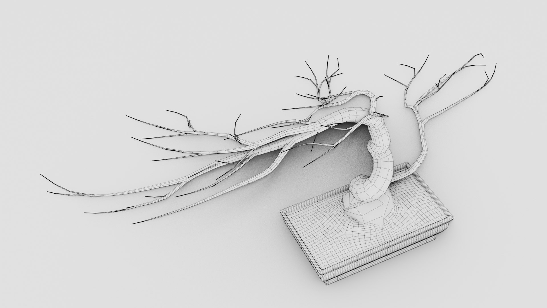Bonsai Dry Tree Model - TurboSquid 2341997