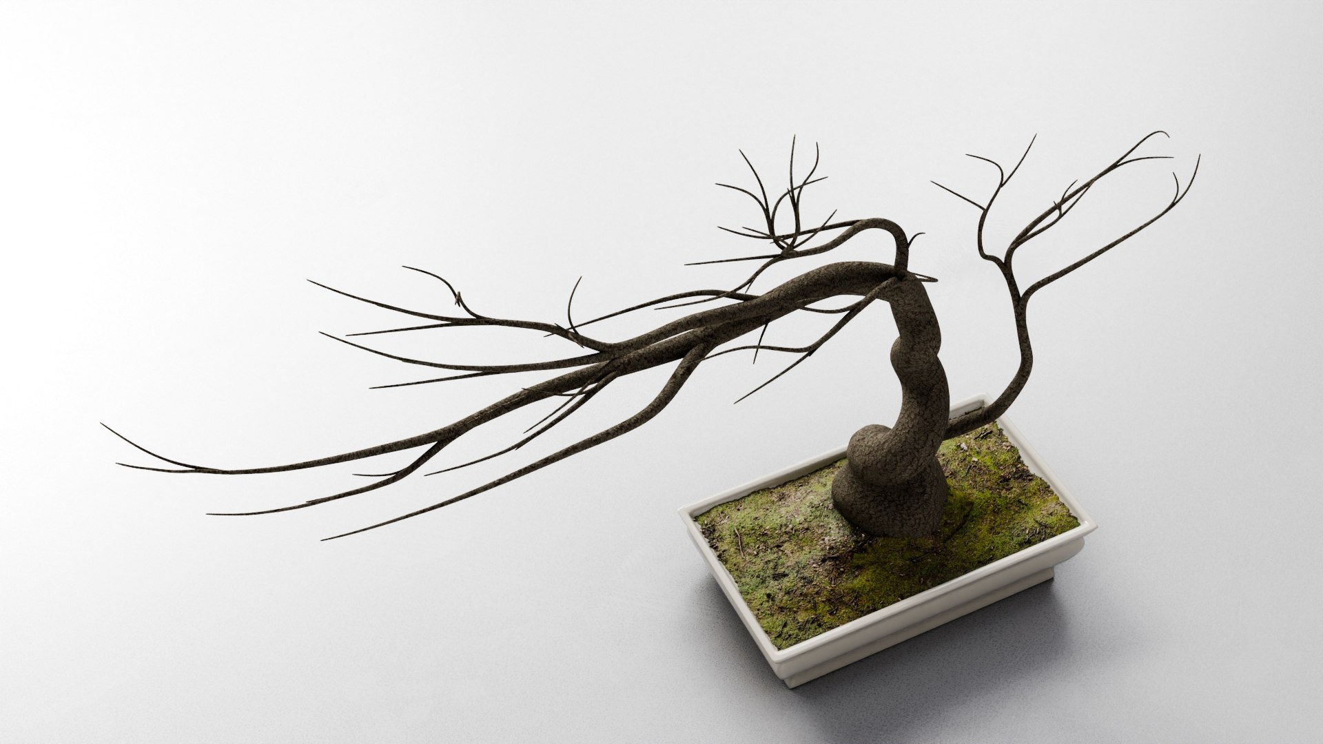 Bonsai Dry Tree Model - TurboSquid 2341997
