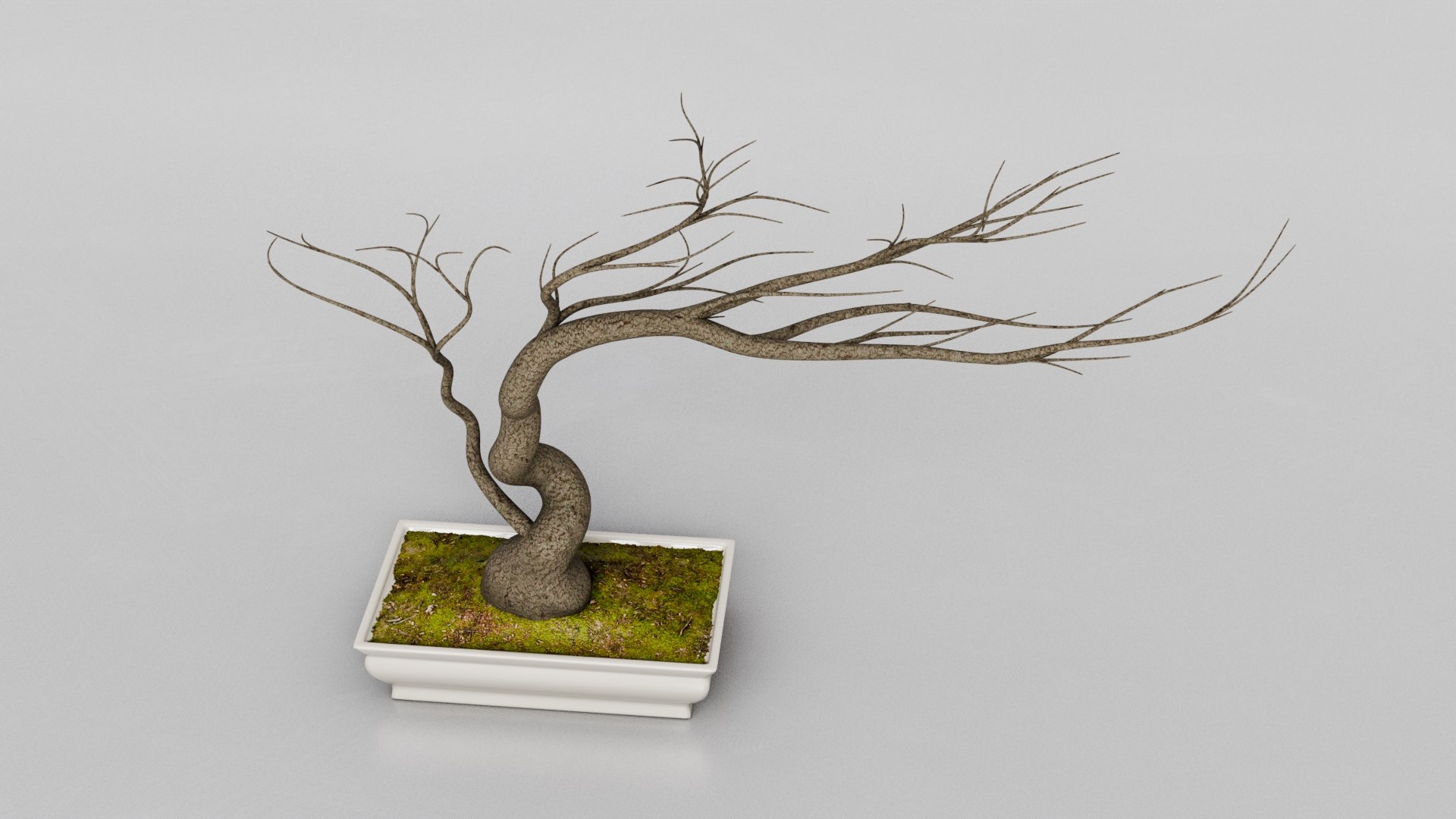 Bonsai Dry Tree Model - TurboSquid 2341997