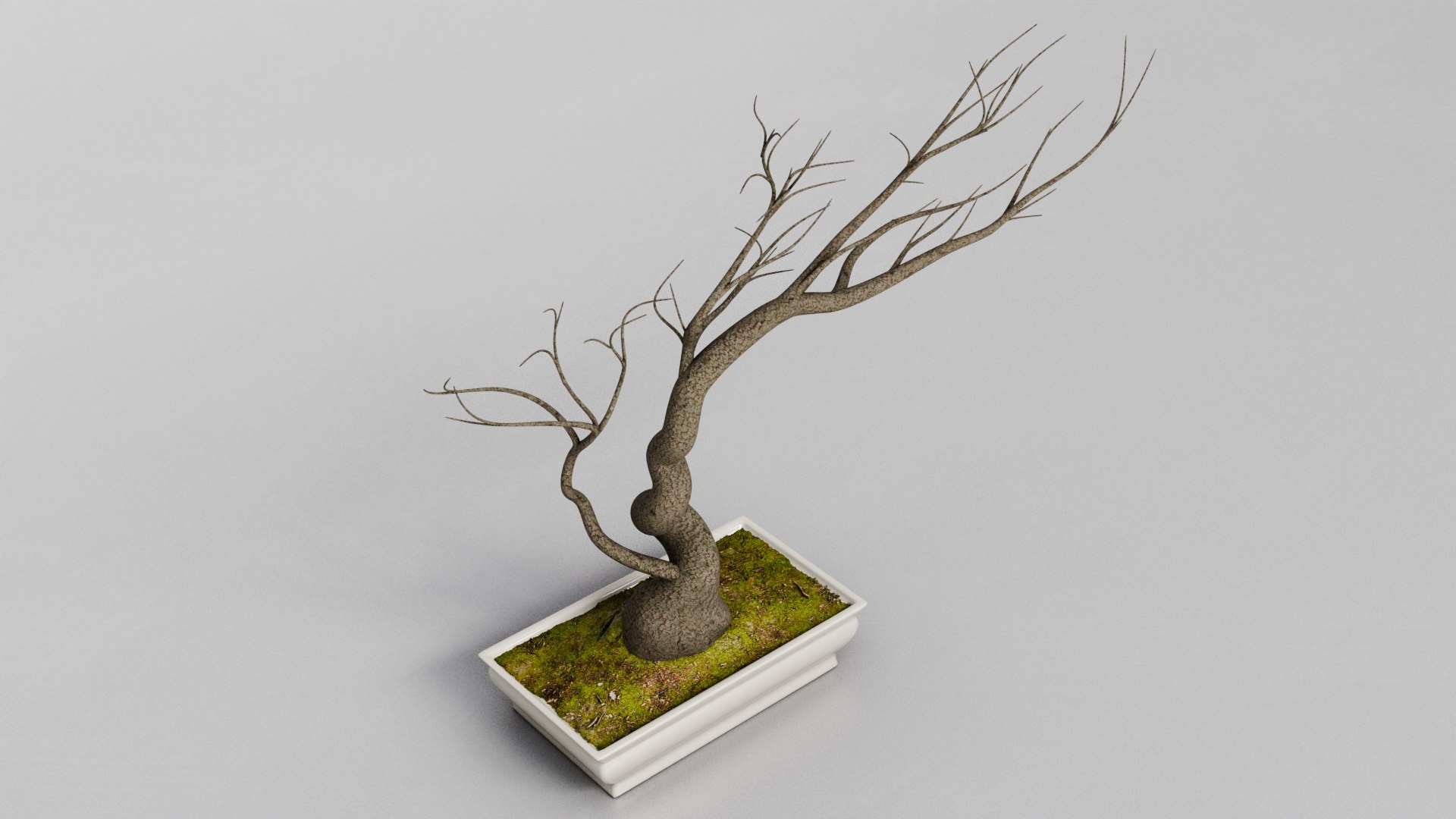 Bonsai Dry Tree Model - TurboSquid 2341997
