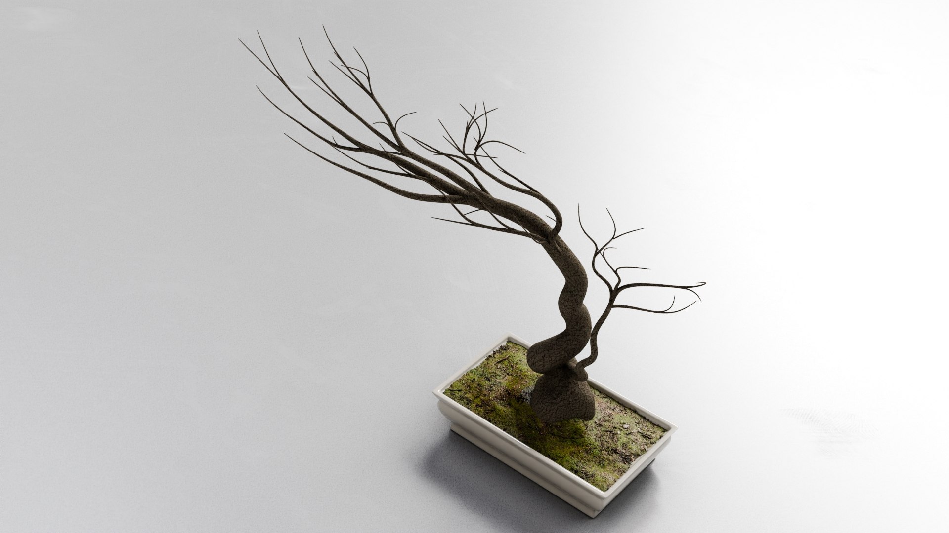 Bonsai Dry Tree Model - TurboSquid 2341997