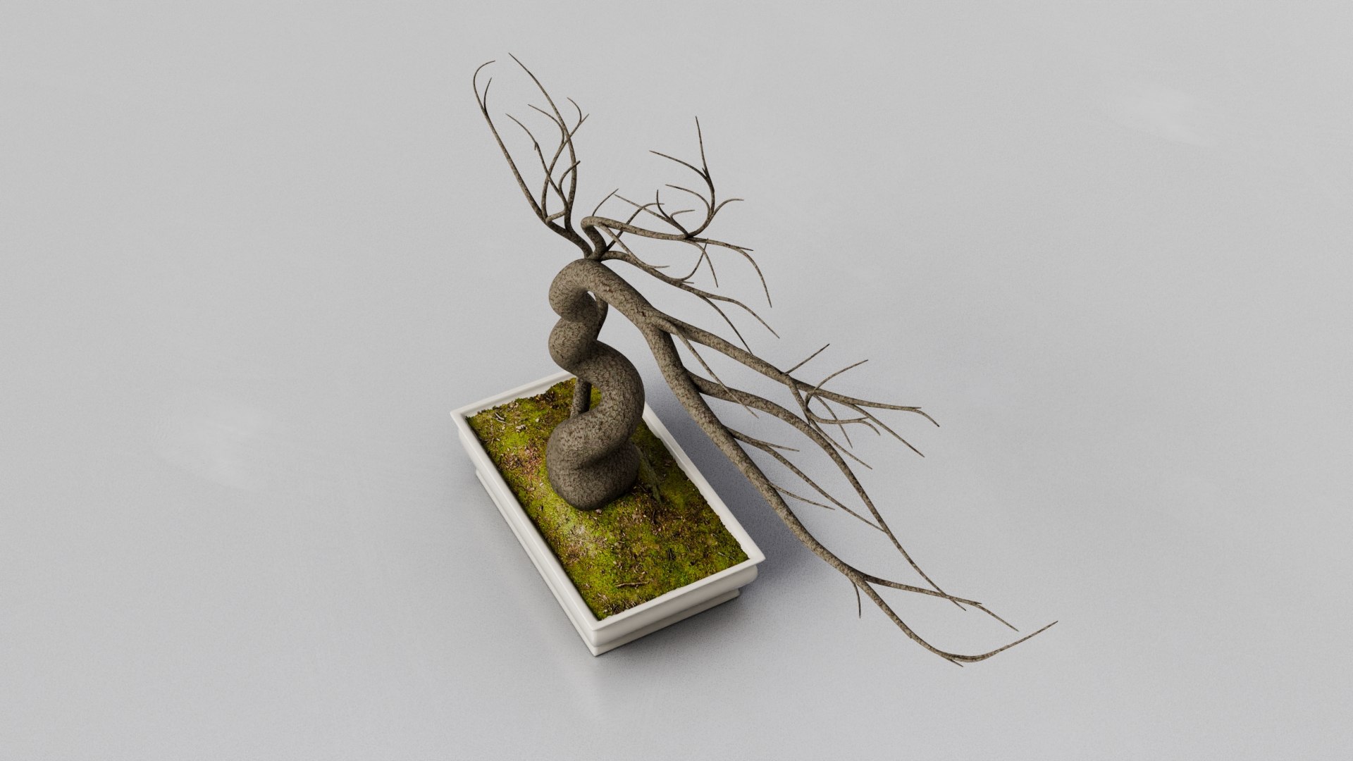 Bonsai Dry Tree Model - TurboSquid 2341997