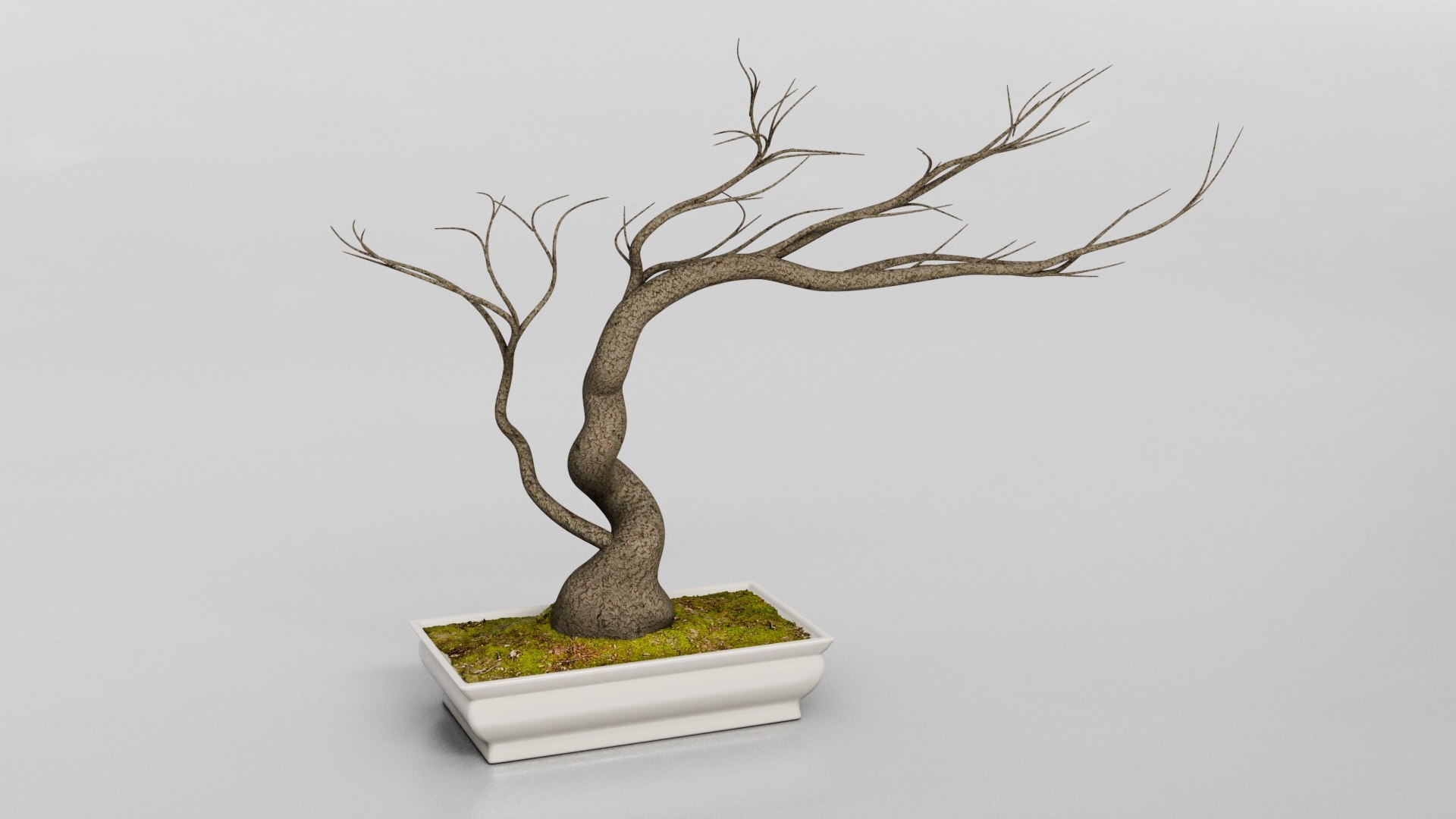 Bonsai Dry Tree Model - TurboSquid 2341997