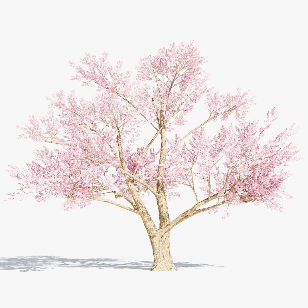 3D 4 Pink Tree - TurboSquid 2312613