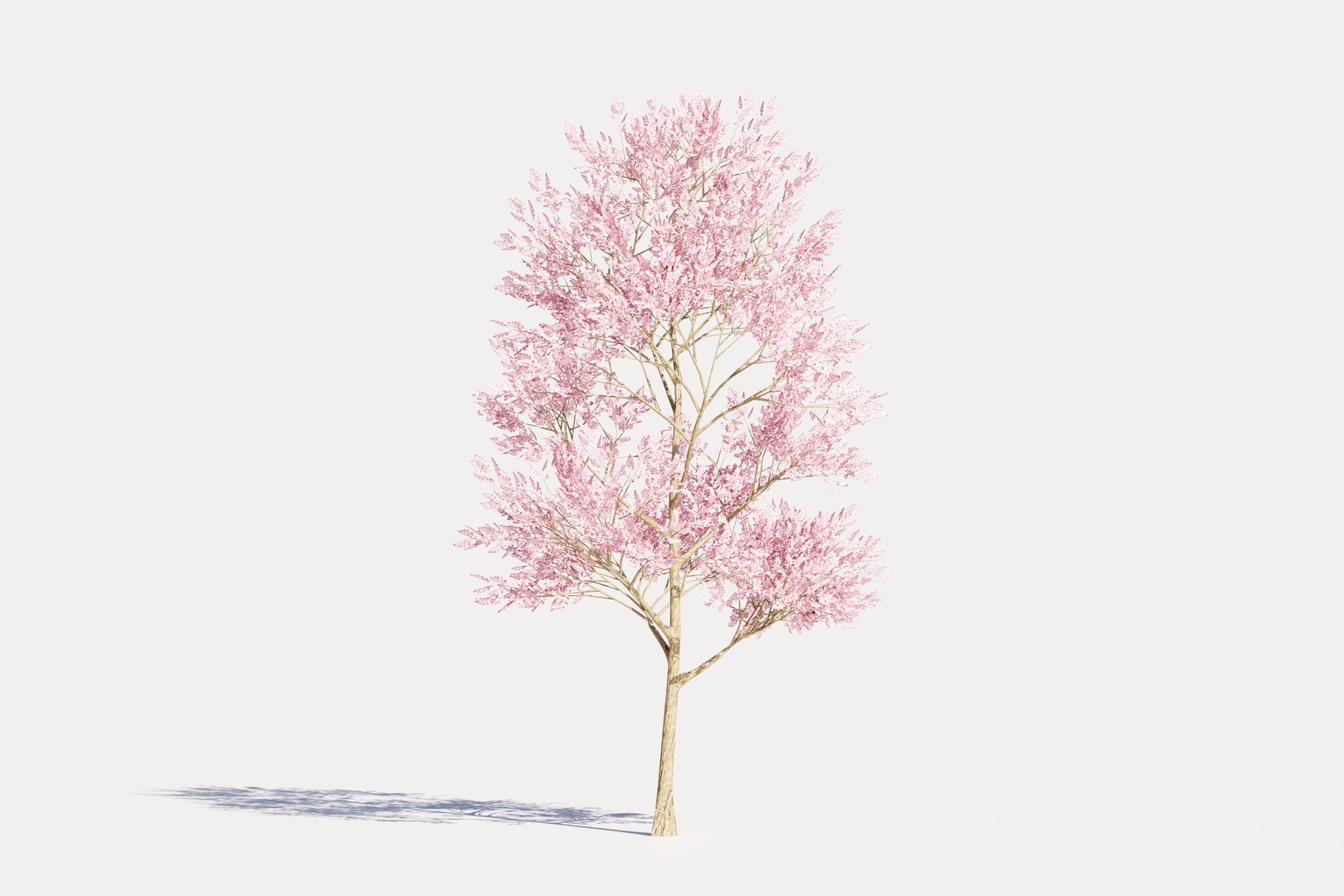 3D 4 Pink Tree - TurboSquid 2312613