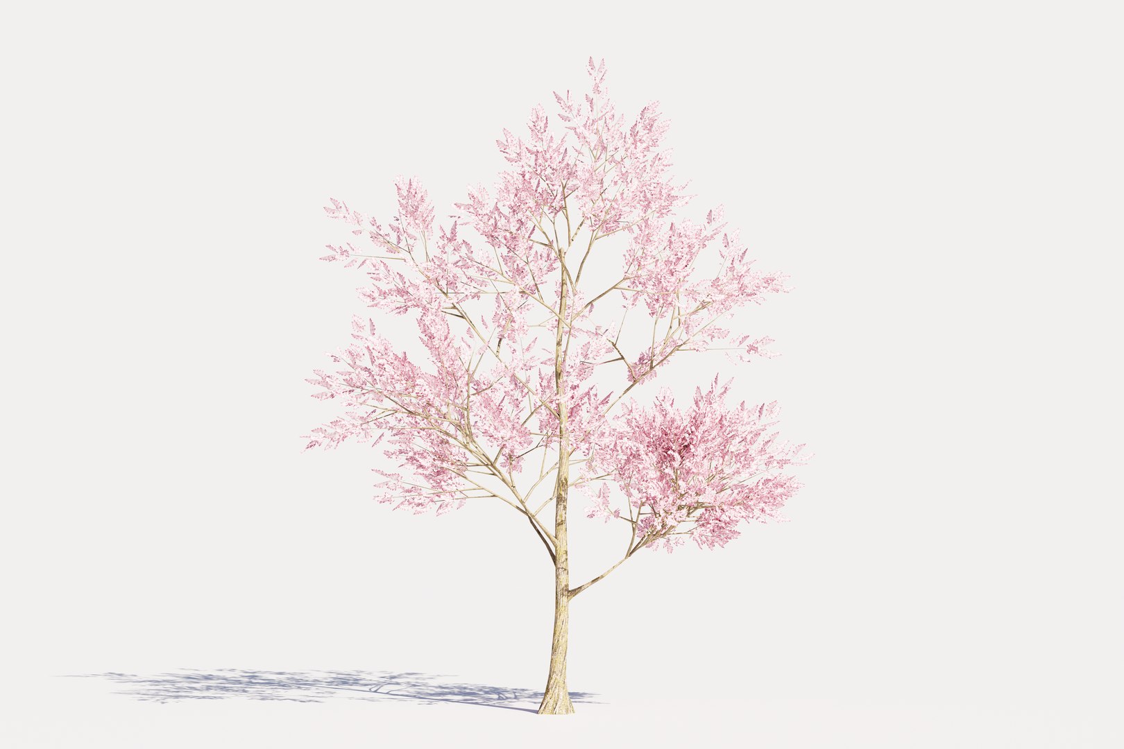 3D 4 Pink Tree - TurboSquid 2312613