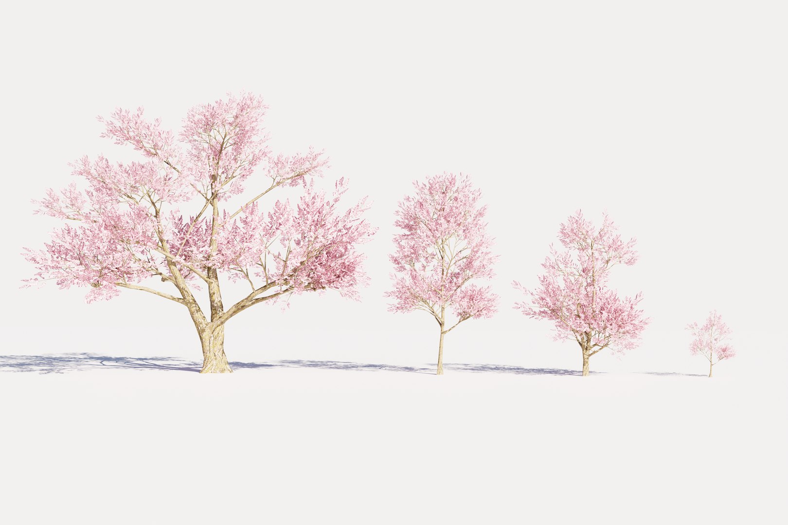 3D 4 Pink Tree - TurboSquid 2312613