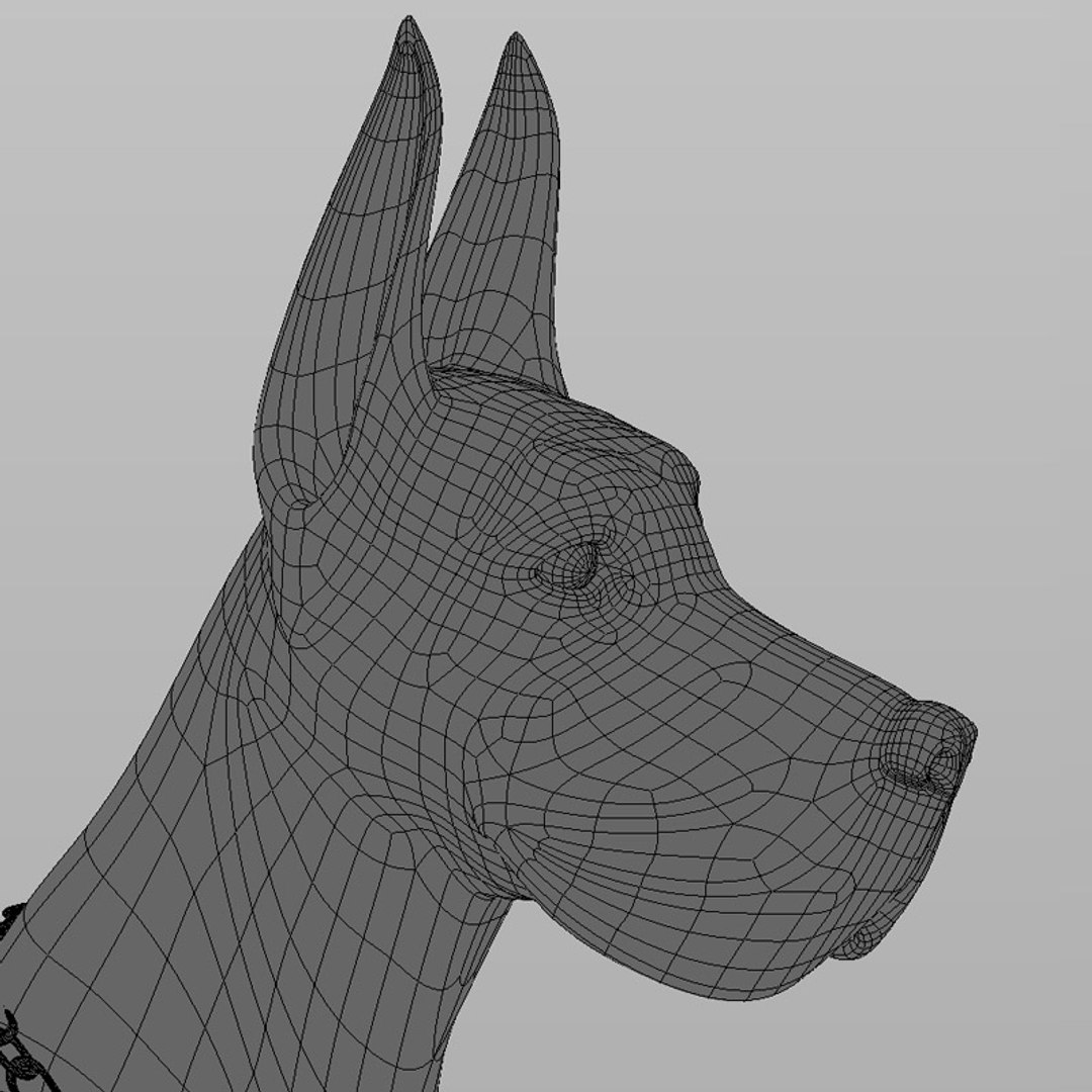 3d Great Dane Model