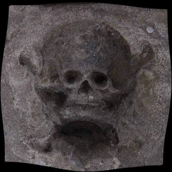 skull relief