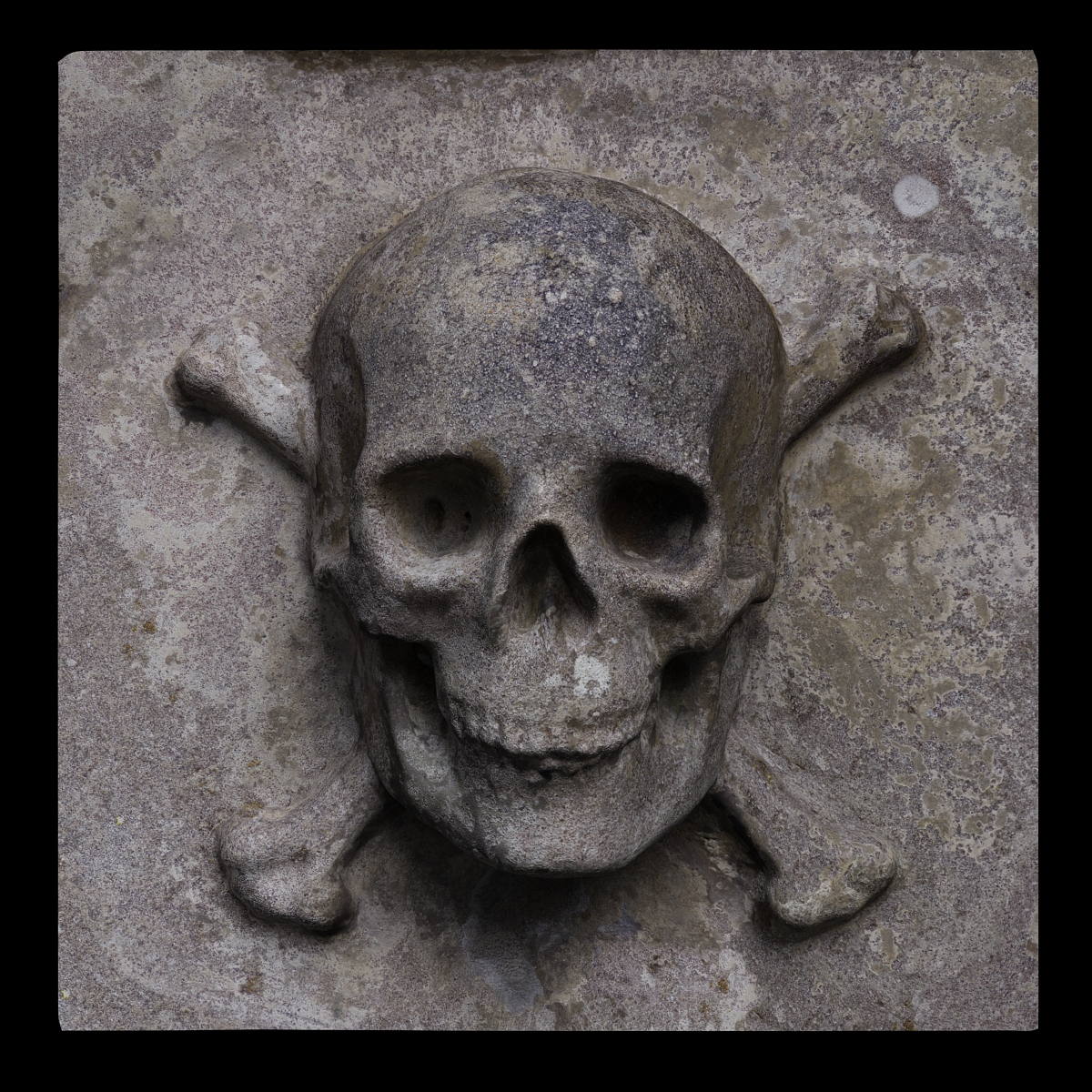 skull relief