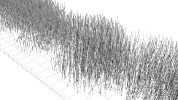 3D walk path model - TurboSquid 1663041