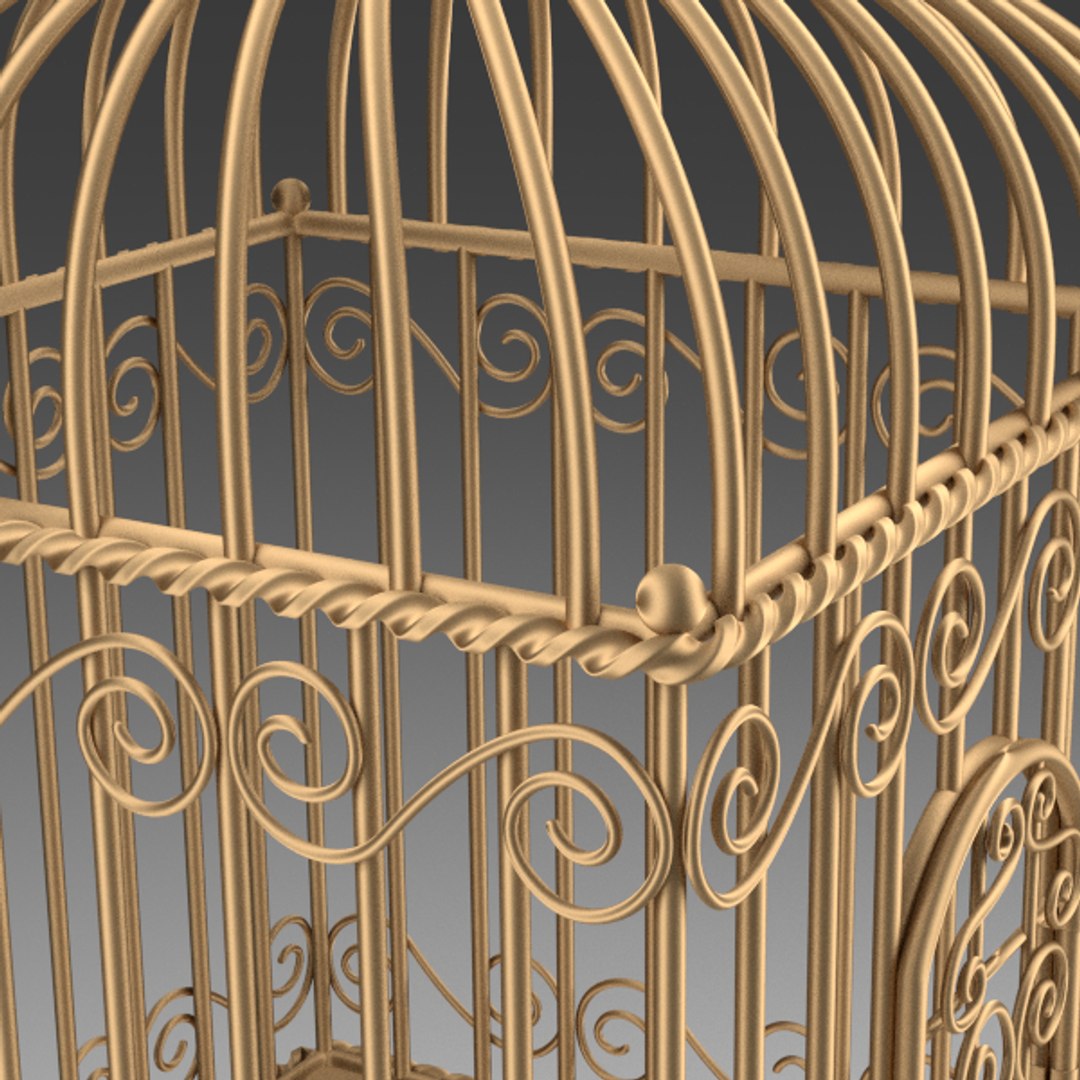 Bird Cage 3d Model