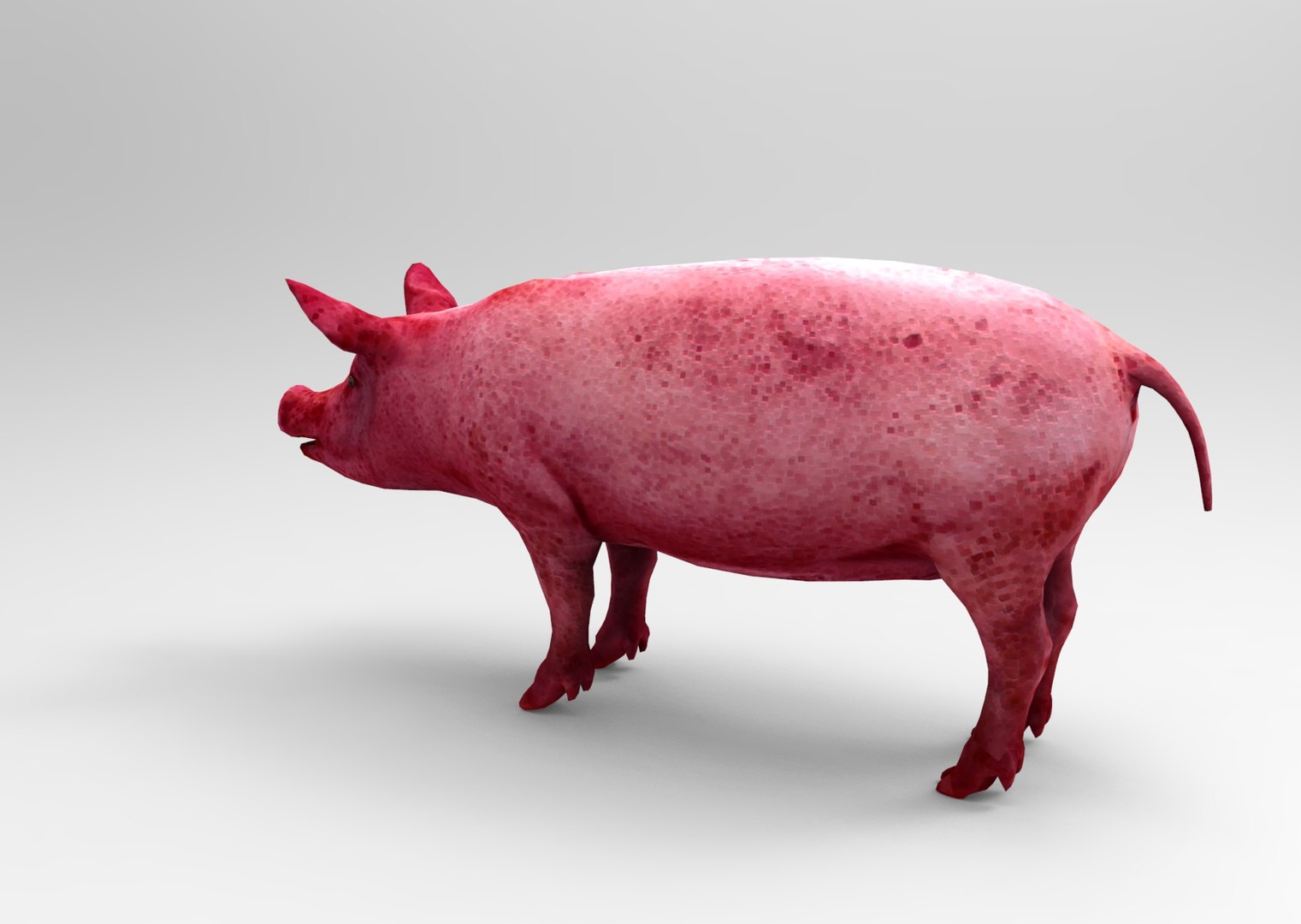 Pig Rigged Animation 3D - TurboSquid 1213110