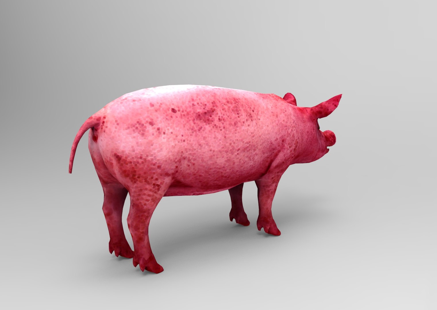 Pig Rigged Animation 3D - TurboSquid 1213110