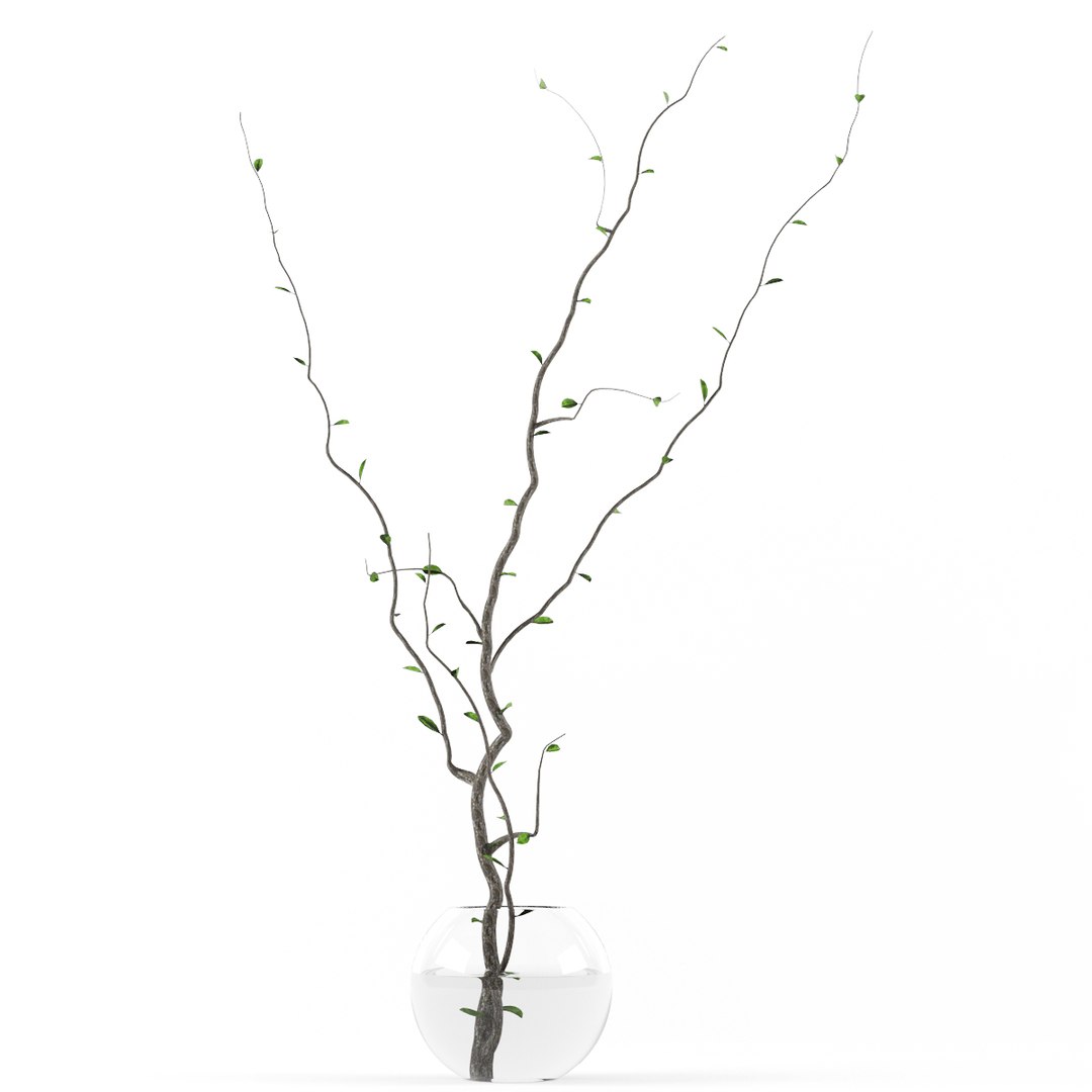 3d Model Of Vase Tree