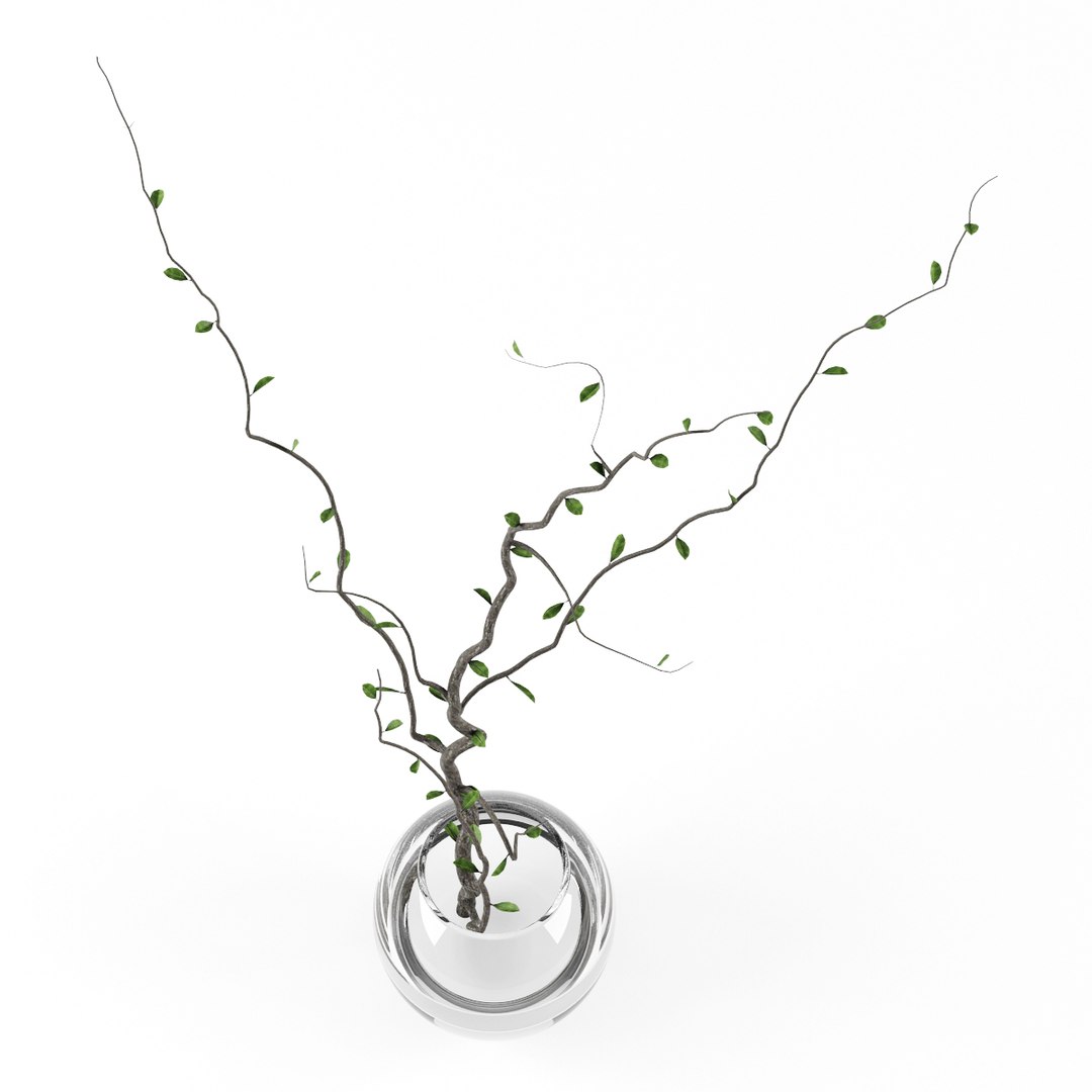 3d Model Of Vase Tree