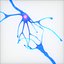 3D Model Nerve Cell Anatomy Details - TurboSquid 1515693