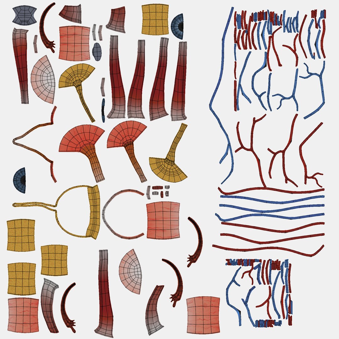 Eye Cross Section 3D Model - TurboSquid 1648860