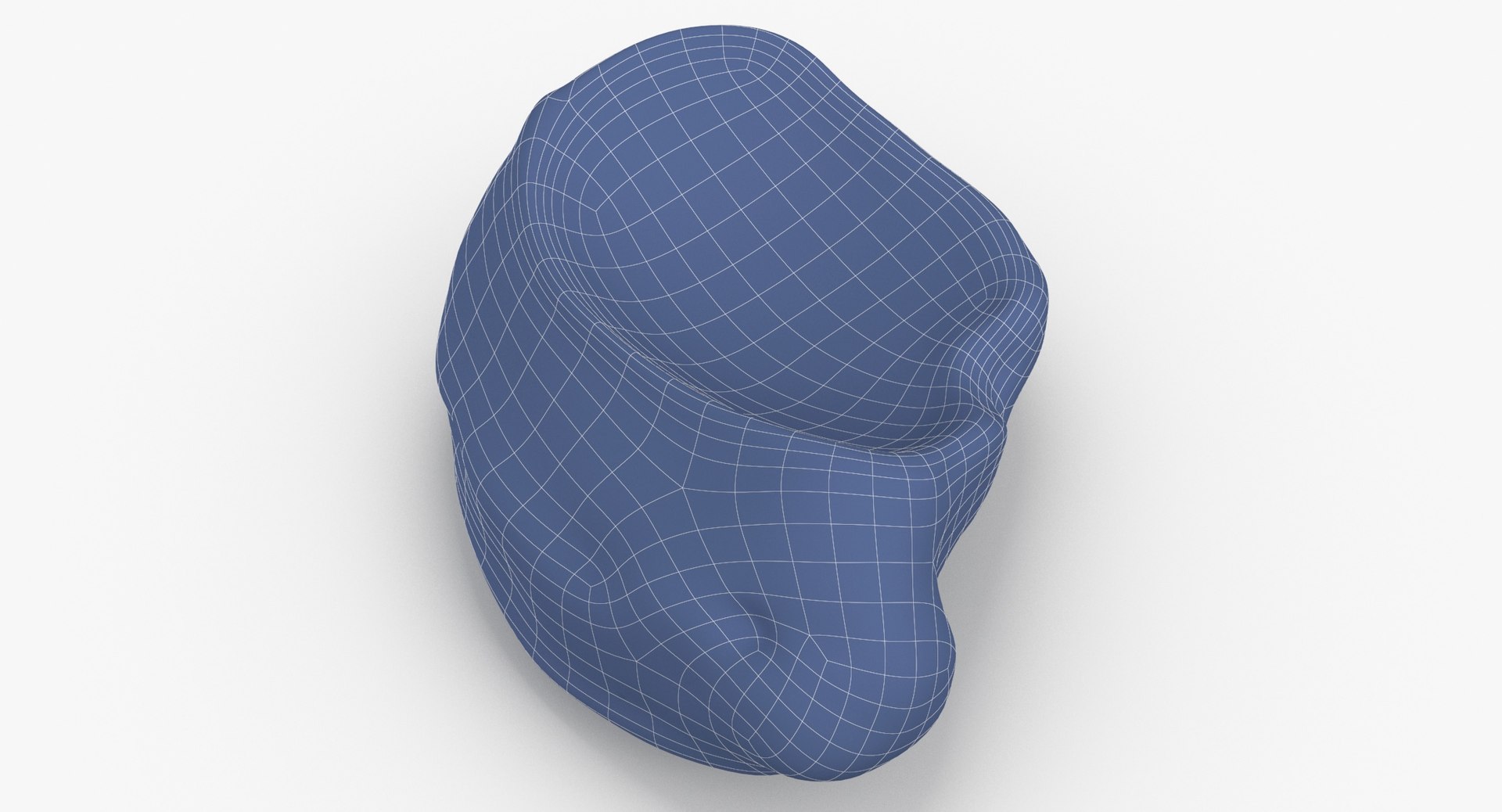 3D model navicular bone 01 white - TurboSquid 1541042