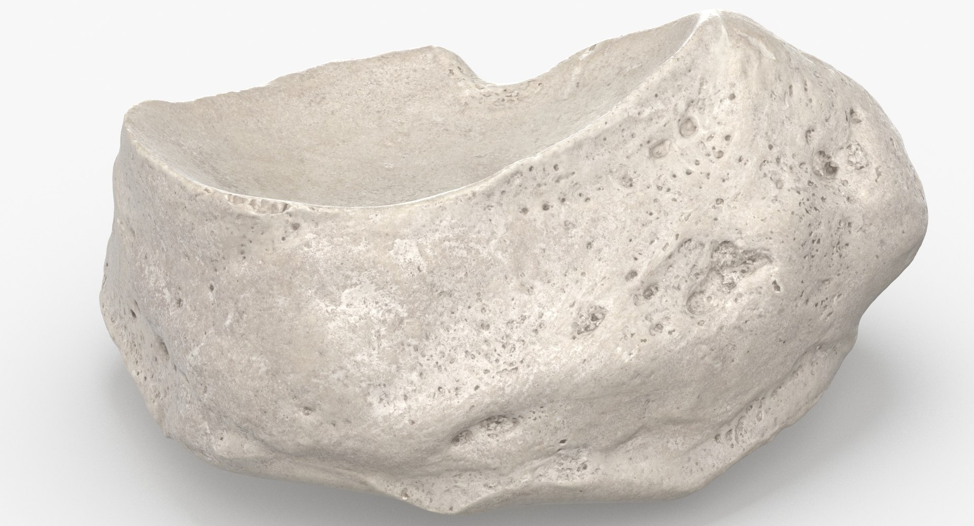 3D model navicular bone 01 white - TurboSquid 1541042