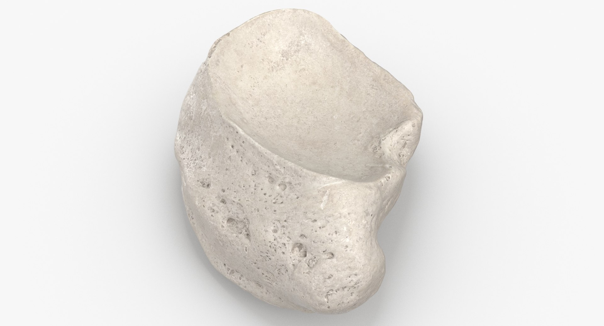 3D model navicular bone 01 white - TurboSquid 1541042