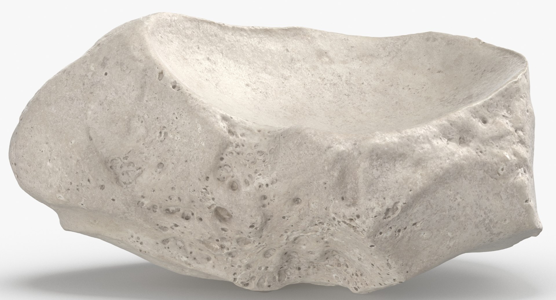 3D model navicular bone 01 white - TurboSquid 1541042