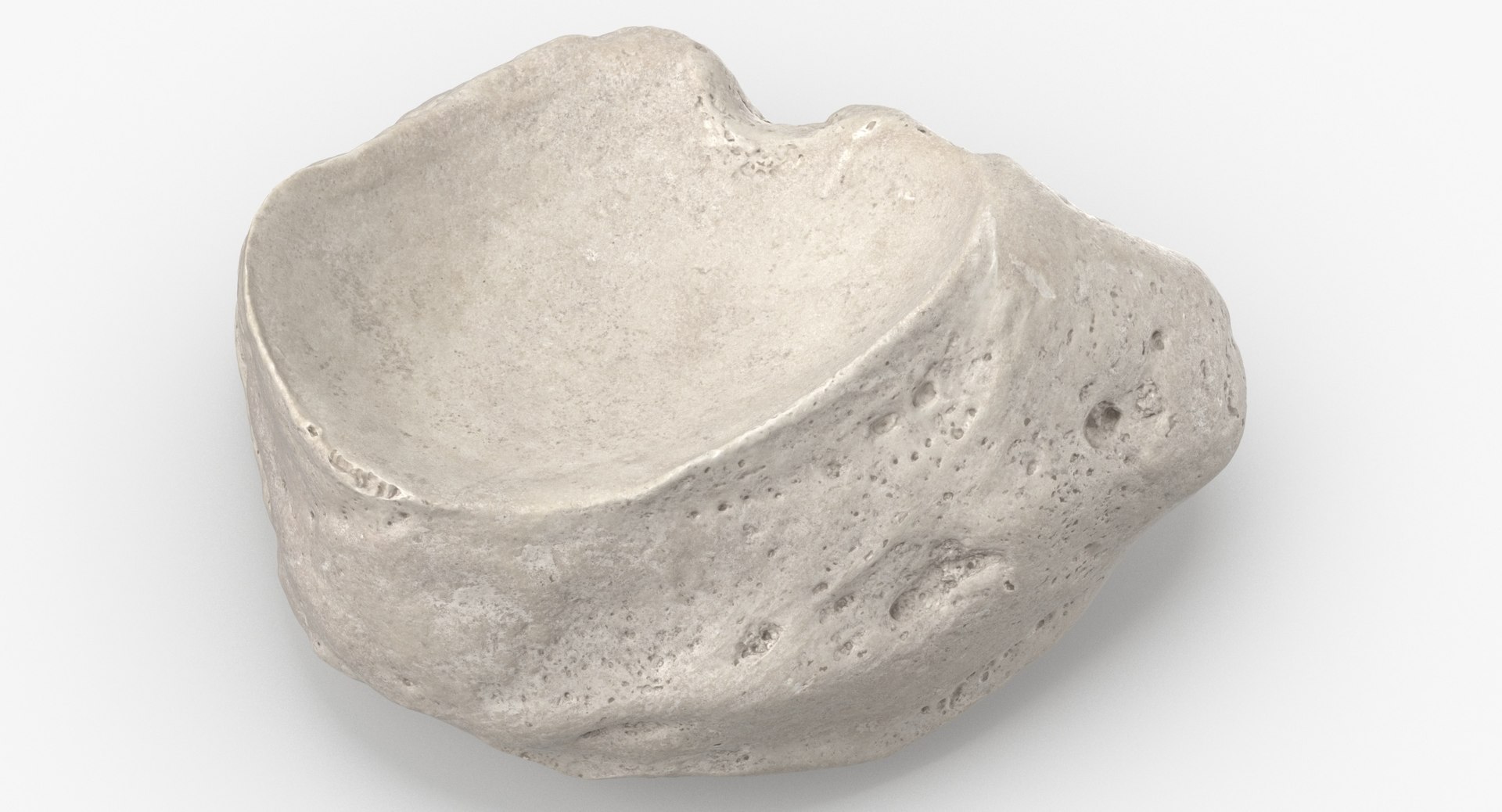 3D model navicular bone 01 white - TurboSquid 1541042