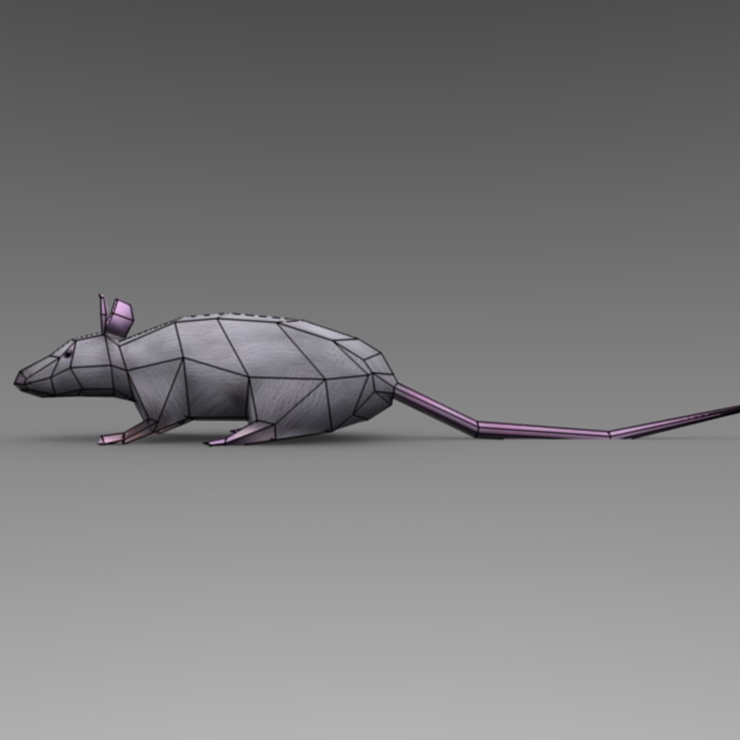 3d Cute Rat Animations