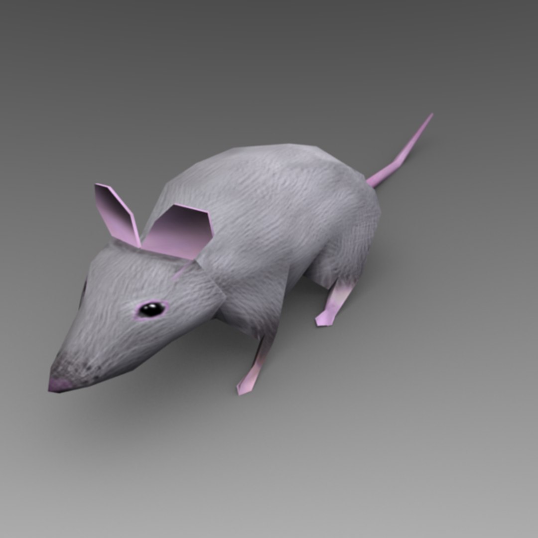 3d Cute Rat Animations