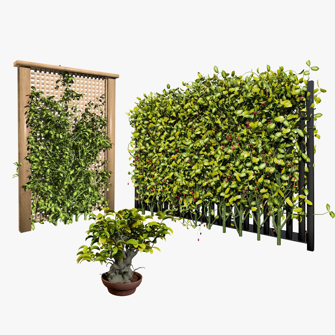 3D Kadsura Japonica Vine - 3D Asset Model - TurboSquid 2251652