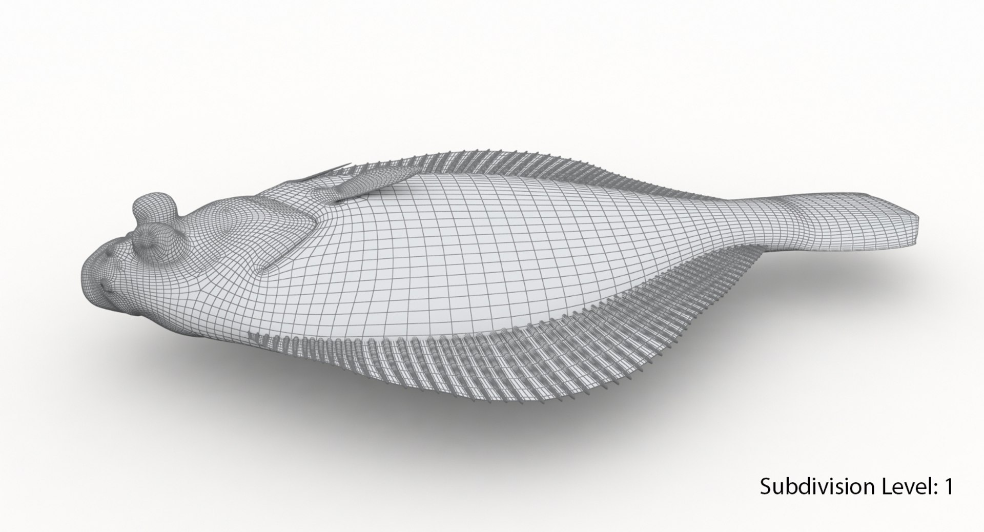 Flatfish animation 3D model - TurboSquid 1344476
