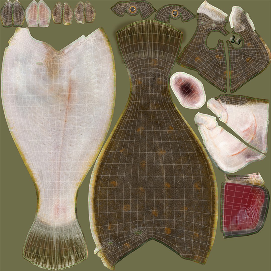 Flatfish Animation 3D Model - TurboSquid 1344476