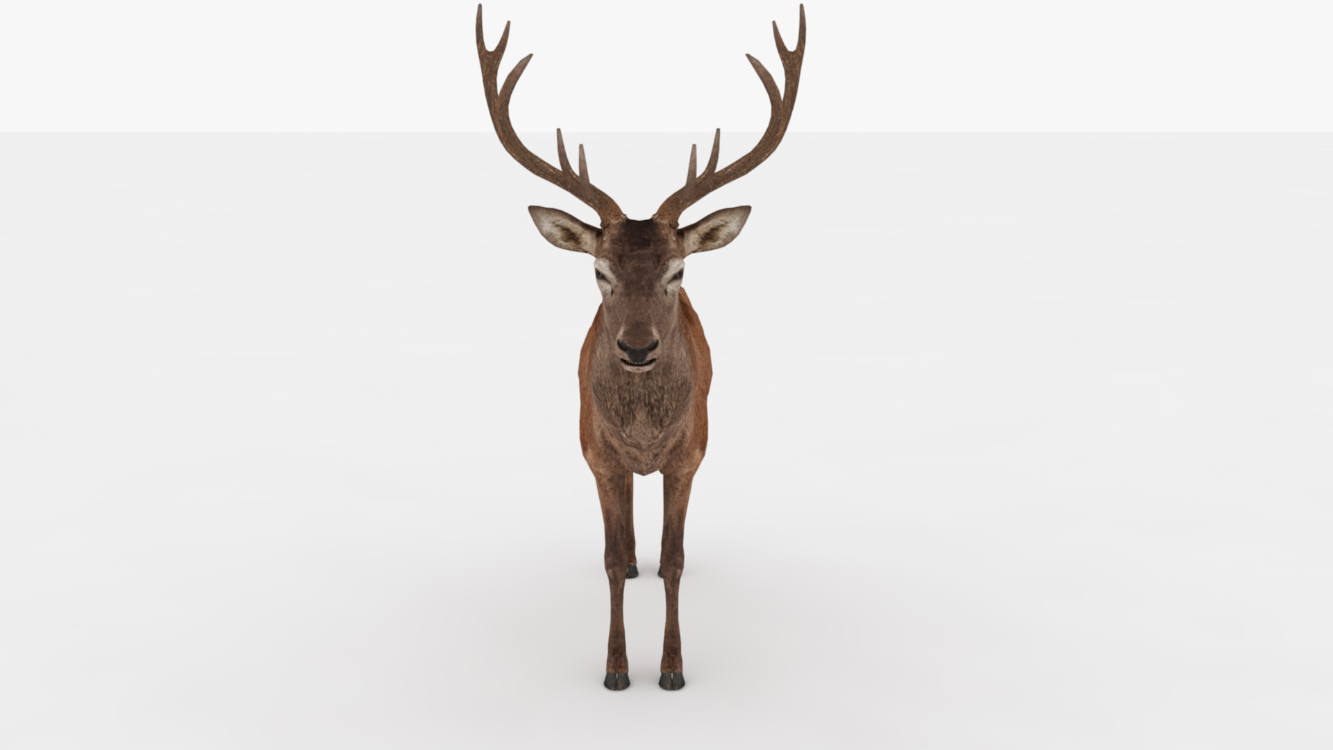 3D Deer Rigged And Animated - TurboSquid 2348749