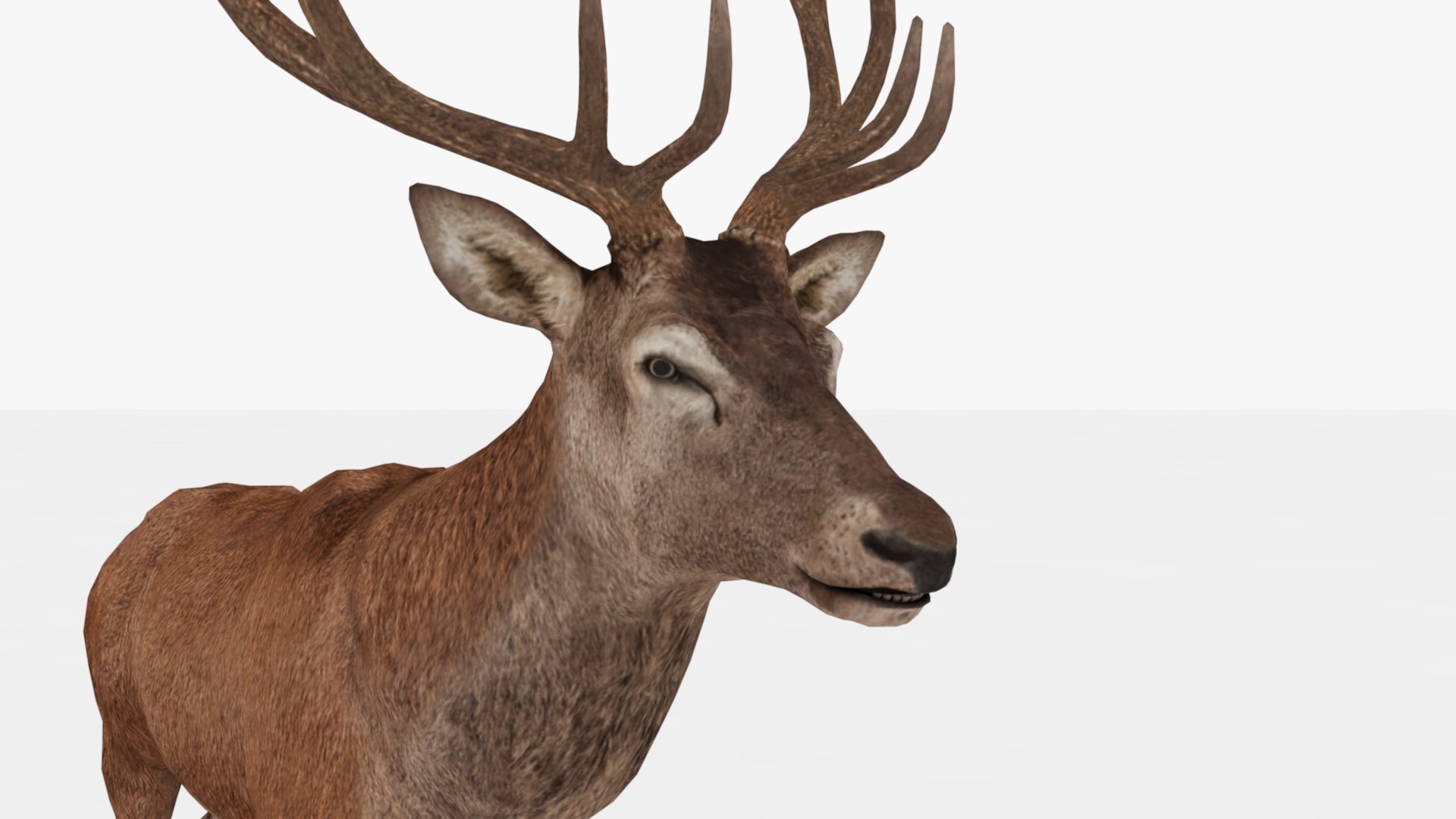 3D Deer Rigged And Animated - TurboSquid 2348749