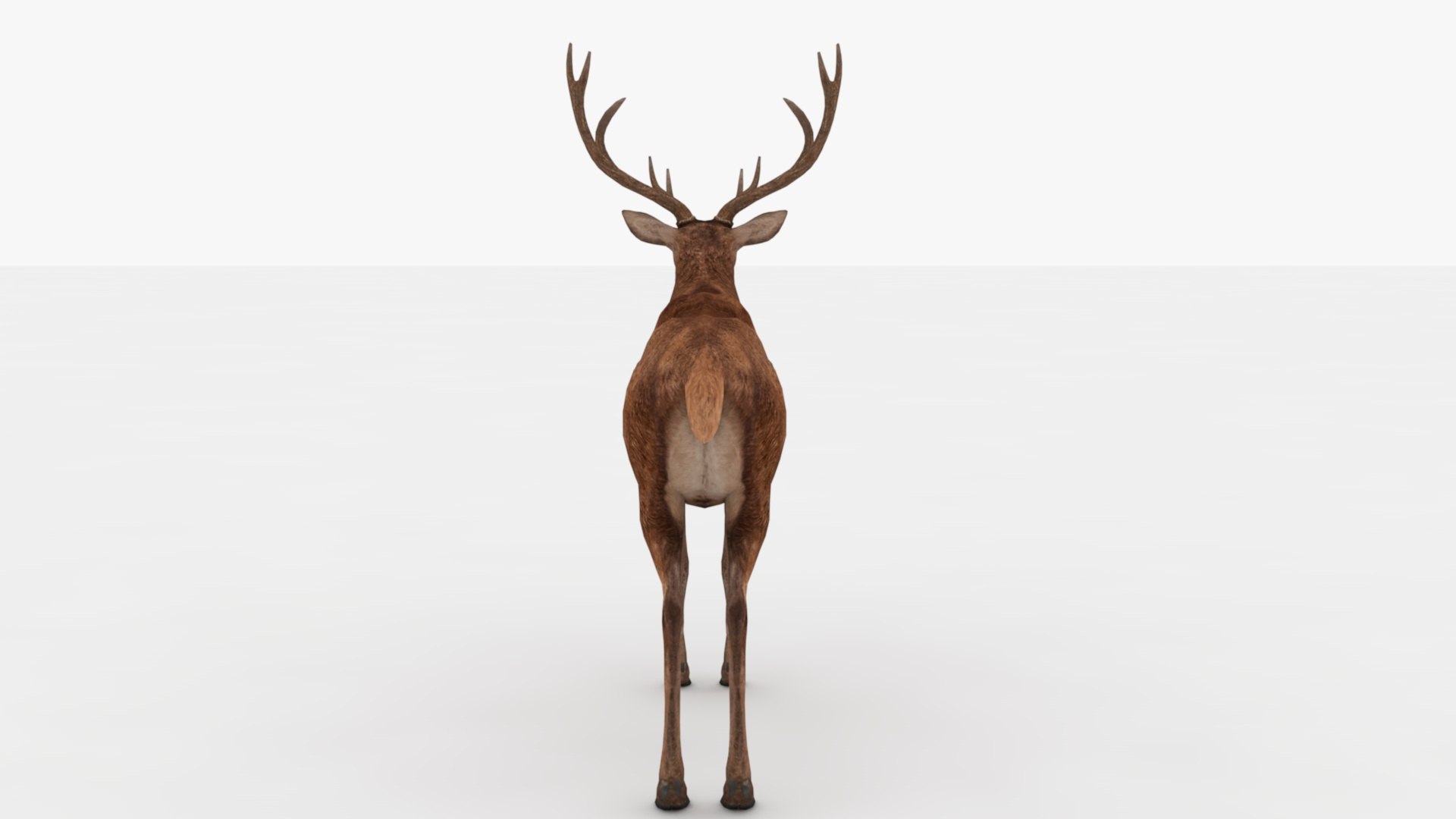 3D Deer Rigged And Animated - TurboSquid 2348749