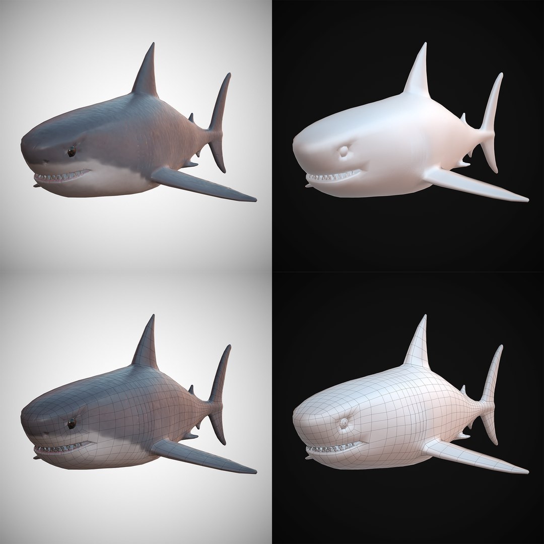 Great White - Model - TurboSquid 1223689