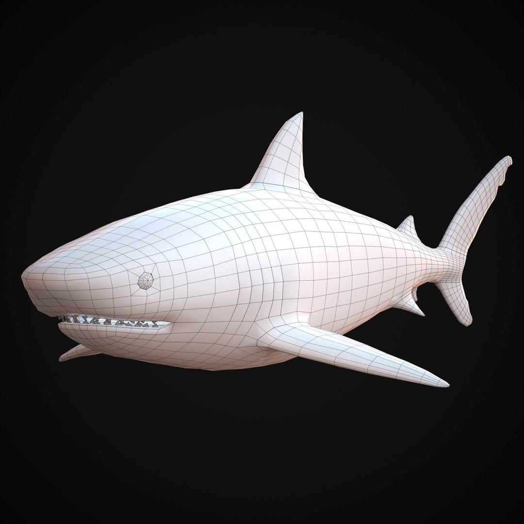 Great White - Model - TurboSquid 1223689