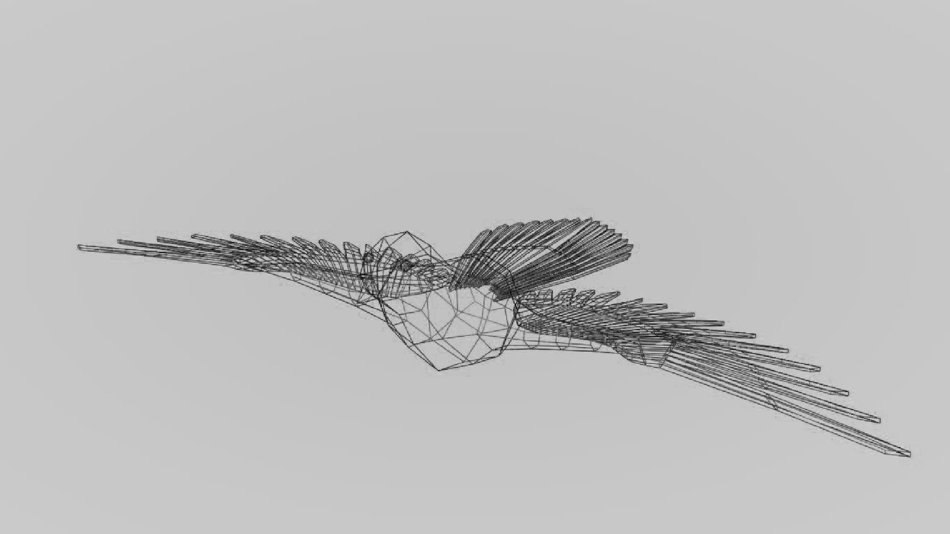3D model Low poly bird mesh - TurboSquid 1973102