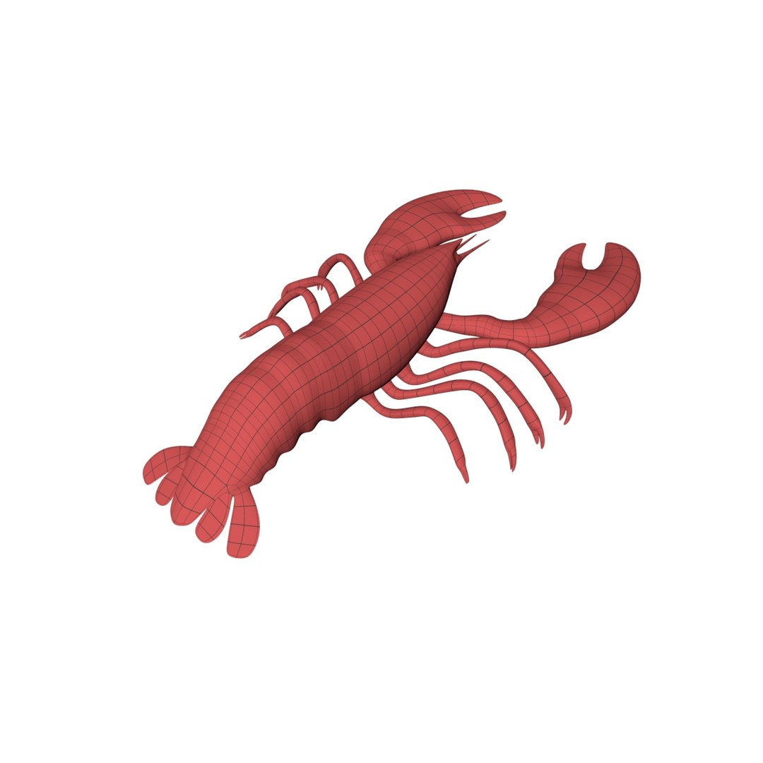 3d Base Mesh Lobster Model