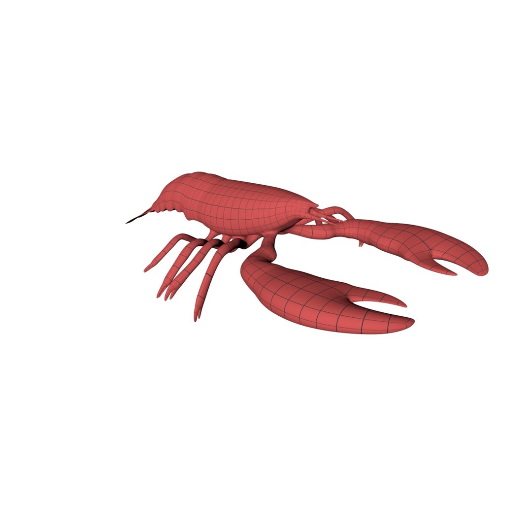 3d Base Mesh Lobster Model
