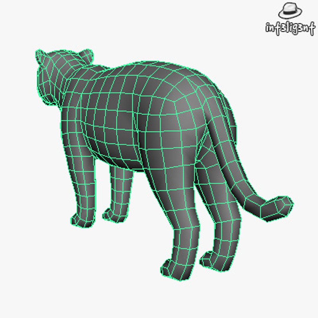 Edge 3d Model