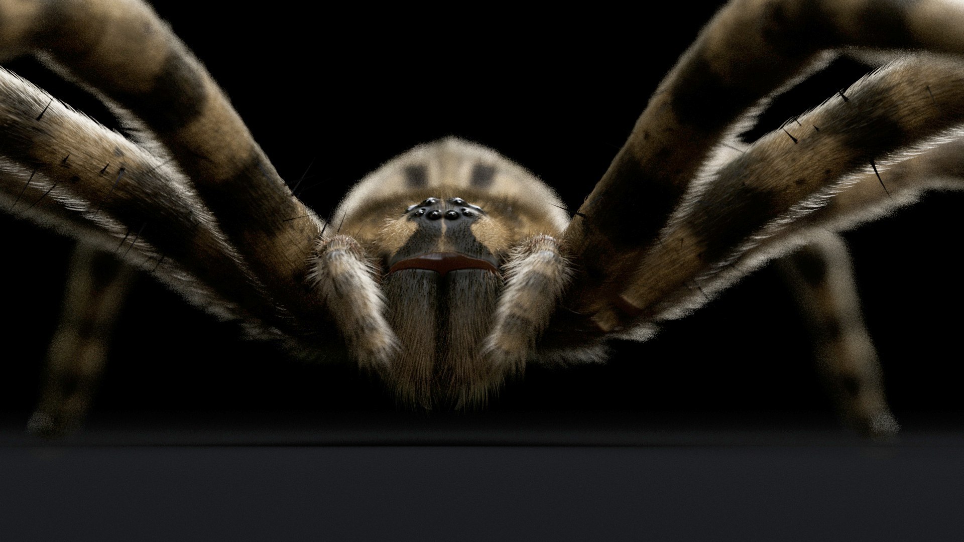 Fishing Spider 3D model - TurboSquid 2181162