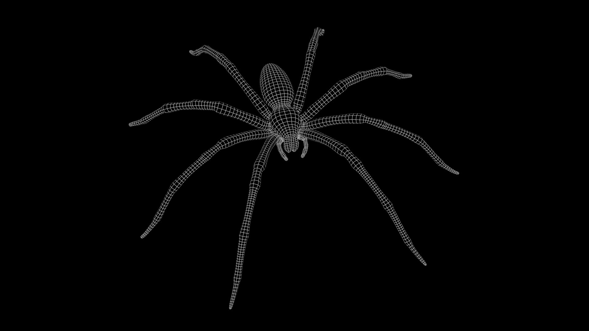 Fishing Spider 3D Model - TurboSquid 2181162