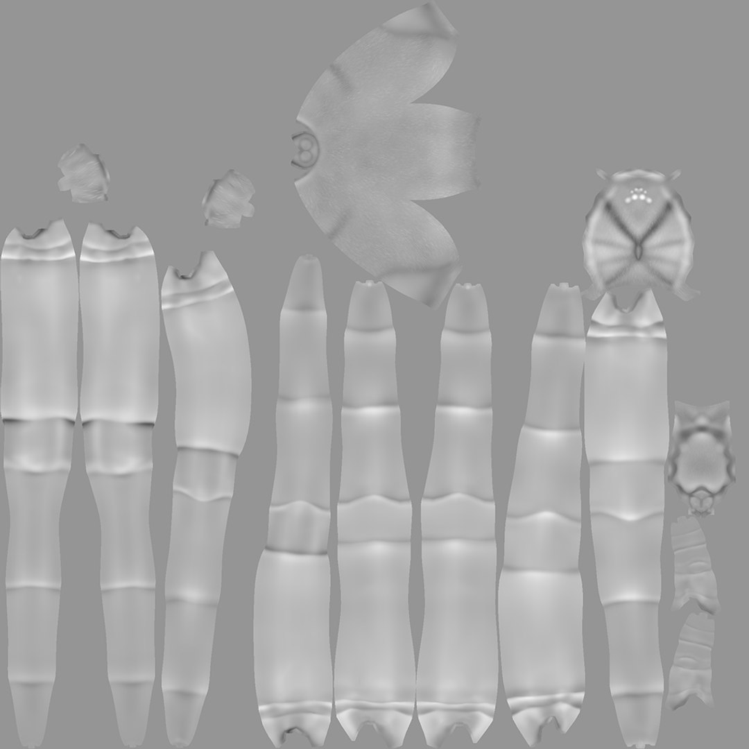 Fishing Spider 3D model - TurboSquid 2181162
