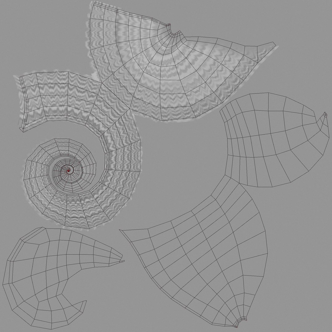 3d model hermit crab