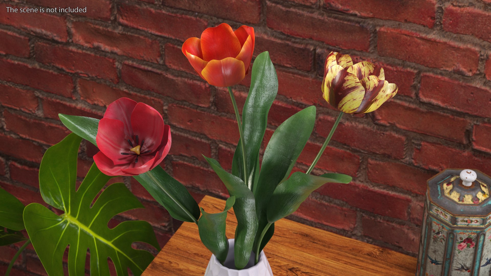 3D Model Three Colour Blooming Tulips Set - TurboSquid 2189646