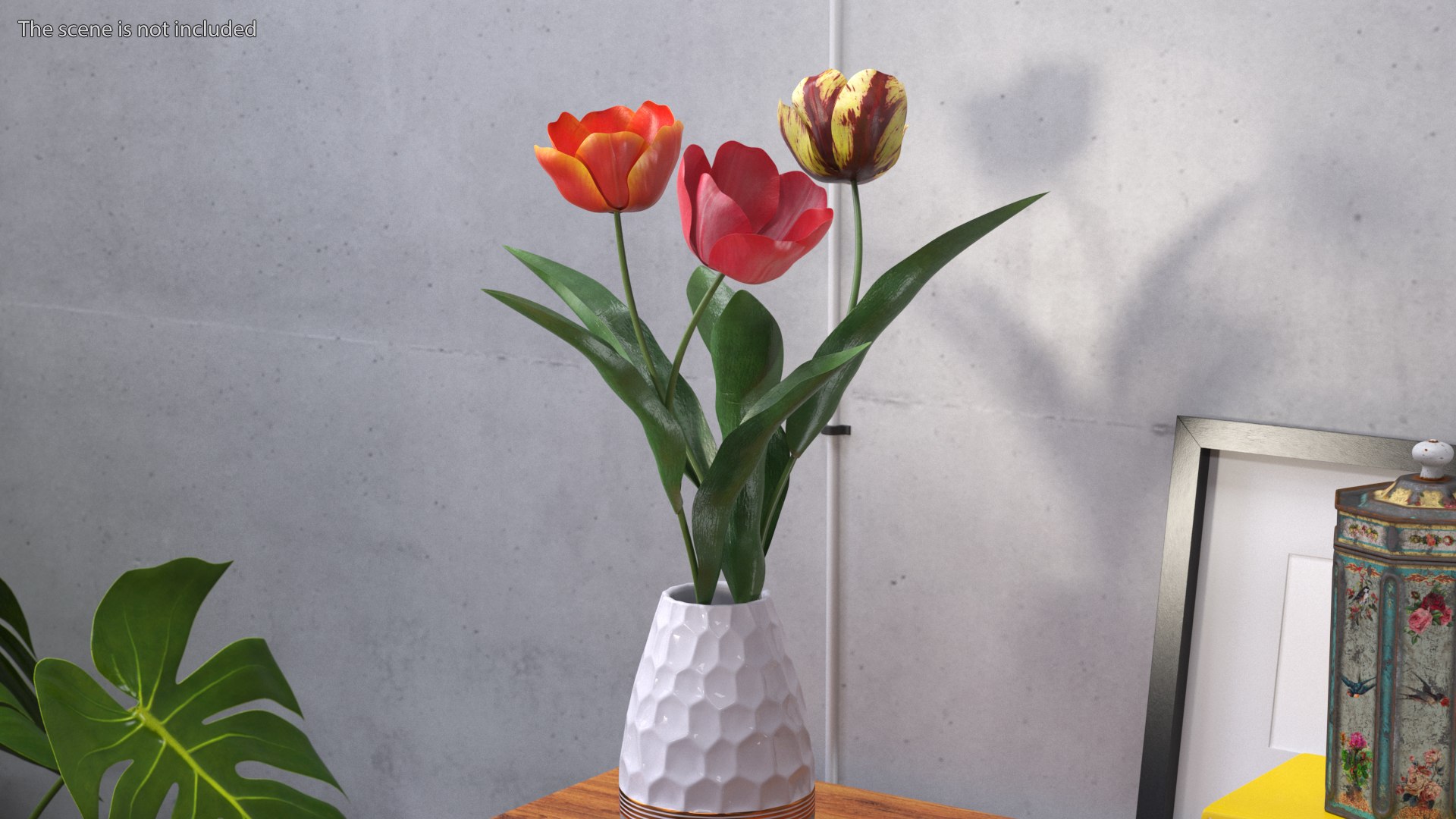 3D Model Three Colour Blooming Tulips Set - TurboSquid 2189646