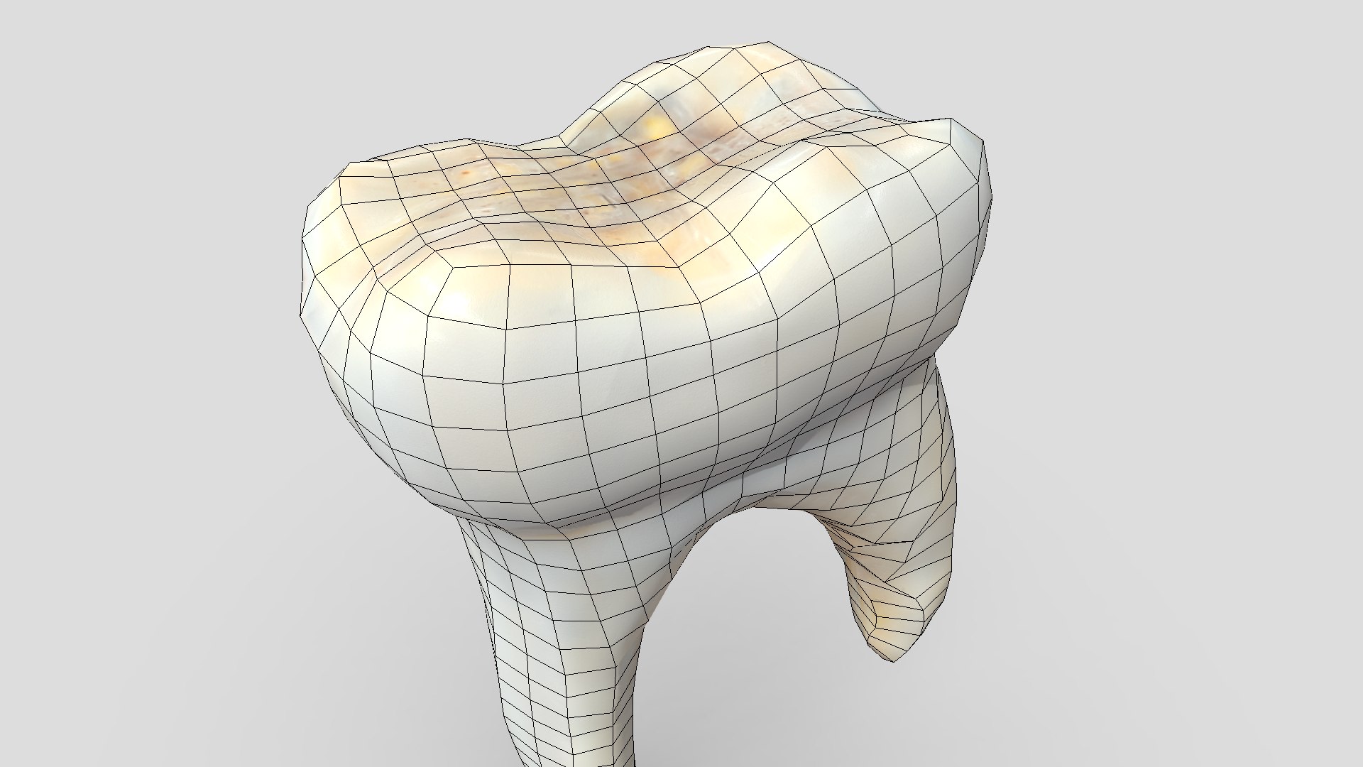 Human Tooth 3D Model - TurboSquid 2256451