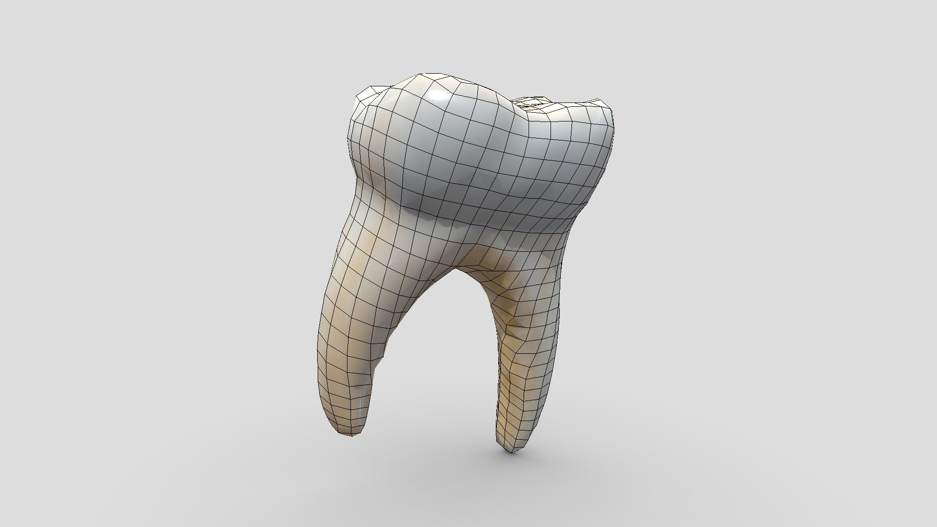 Human Tooth 3D Model - TurboSquid 2256451