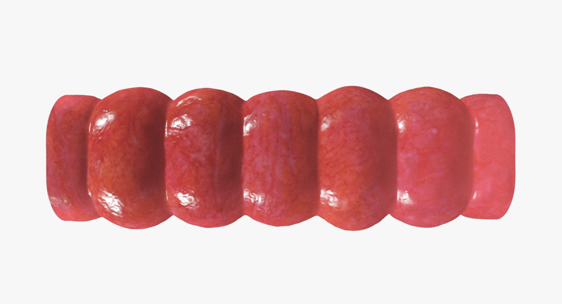 Polyp Digestive 3d Model